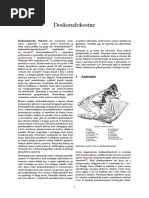 Sprawdzian BIOLOGIA Ptaki Ssaki | PDF