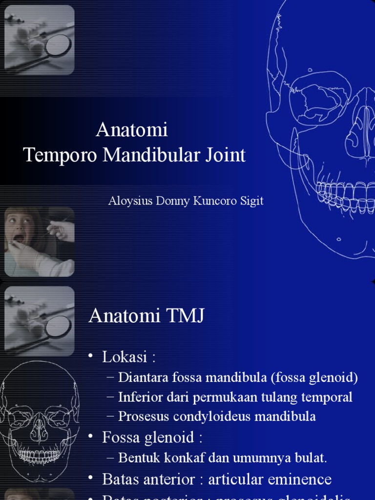 Anatomi TMJ | PDF