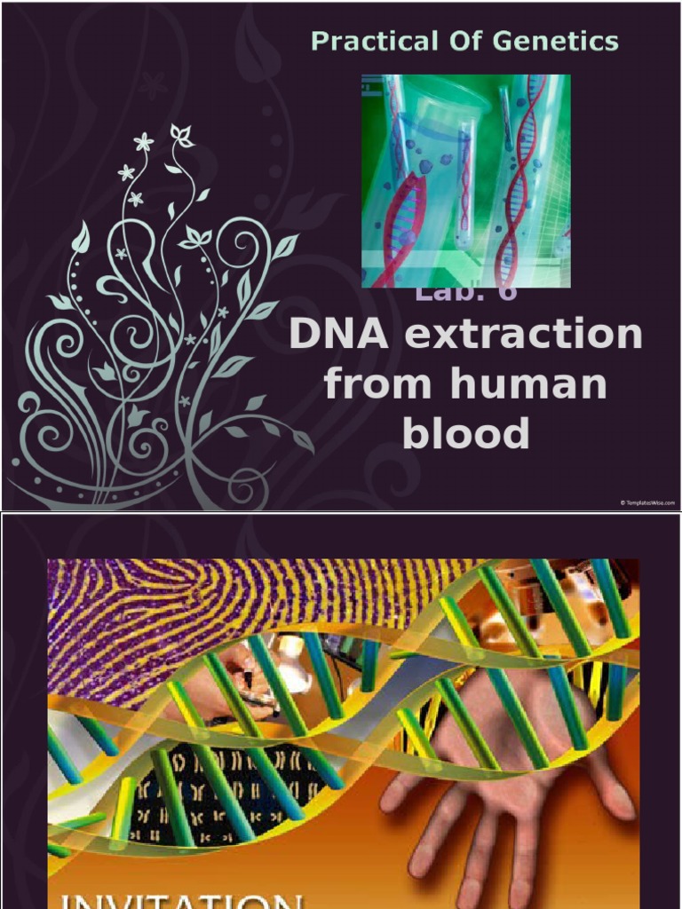 DNA Extraction From Human Blood | PDF | Dna | Chromosome