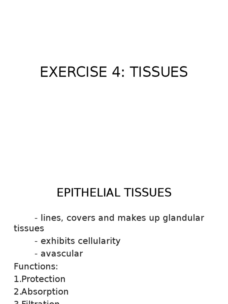 8.31 Exercise 4 - Tissues | PDF | Epithelium | Tissue (Biology)