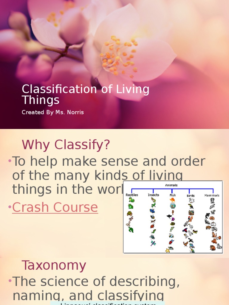 Classification of Living Things | PDF