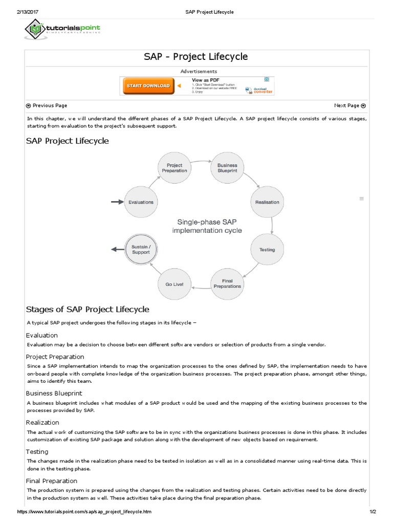 SAP Project Lifecycle | Business Process | Systems Engineering