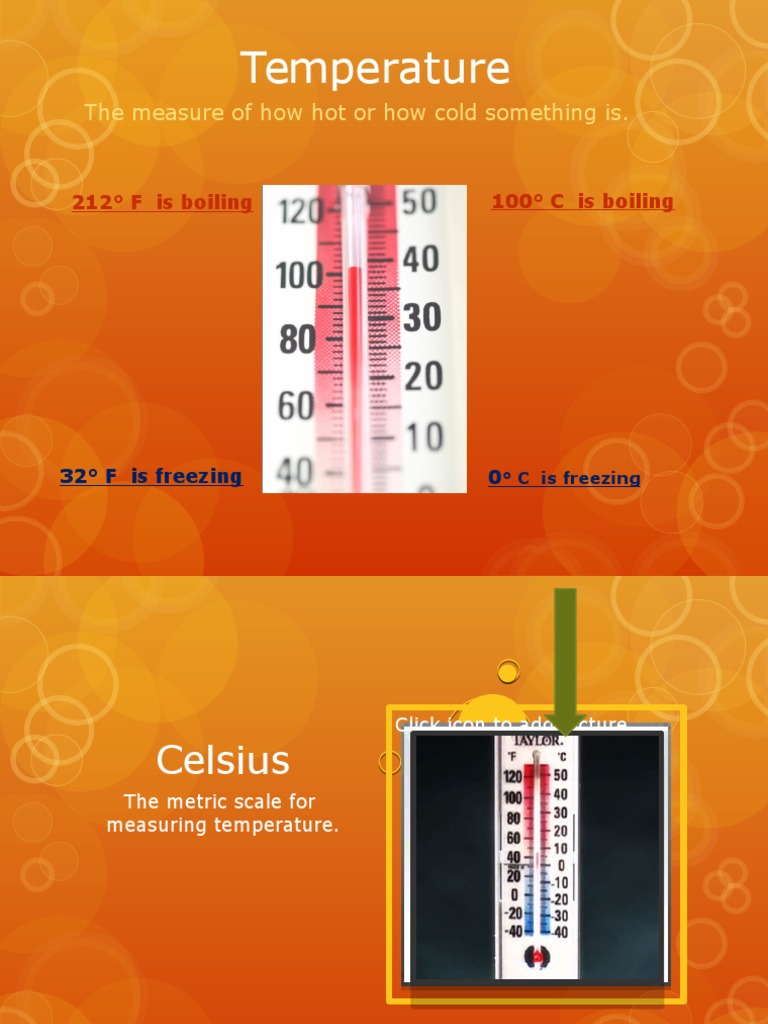 Temperature: The Measure of How Hot or How Cold Something Is | PDF