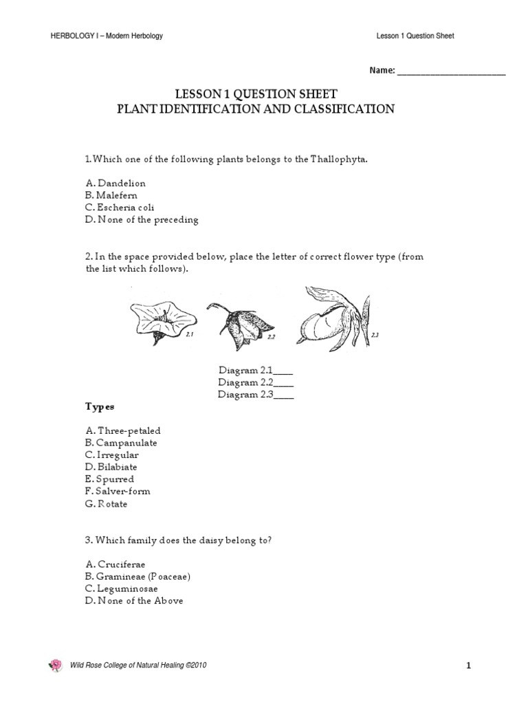 Lesson 1 Quiz - PDF Handout PDF | PDF