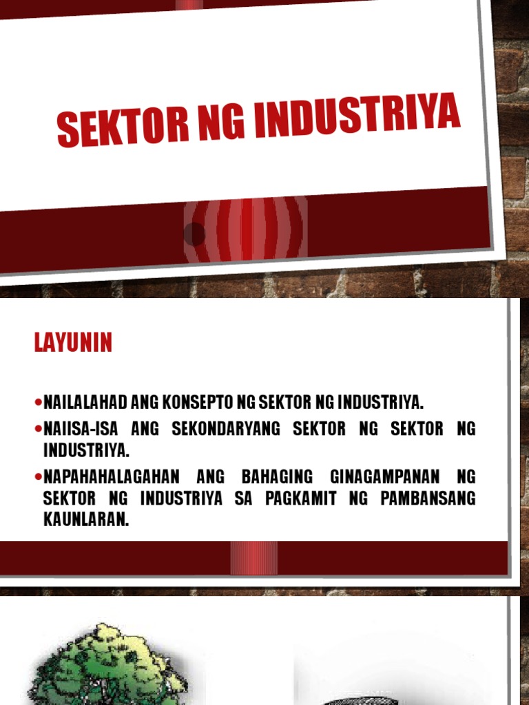 Sektor NG Industriya | PDF