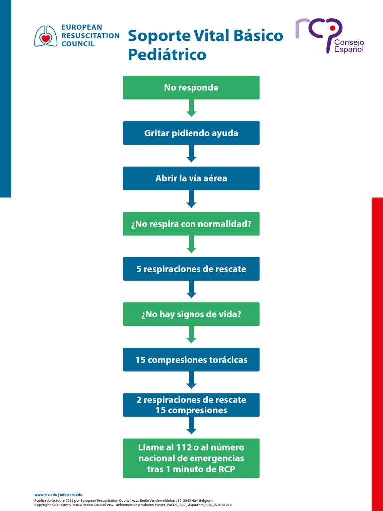 Poster Algoritmo SVB Pediatrico Espanol 2015 | PDF