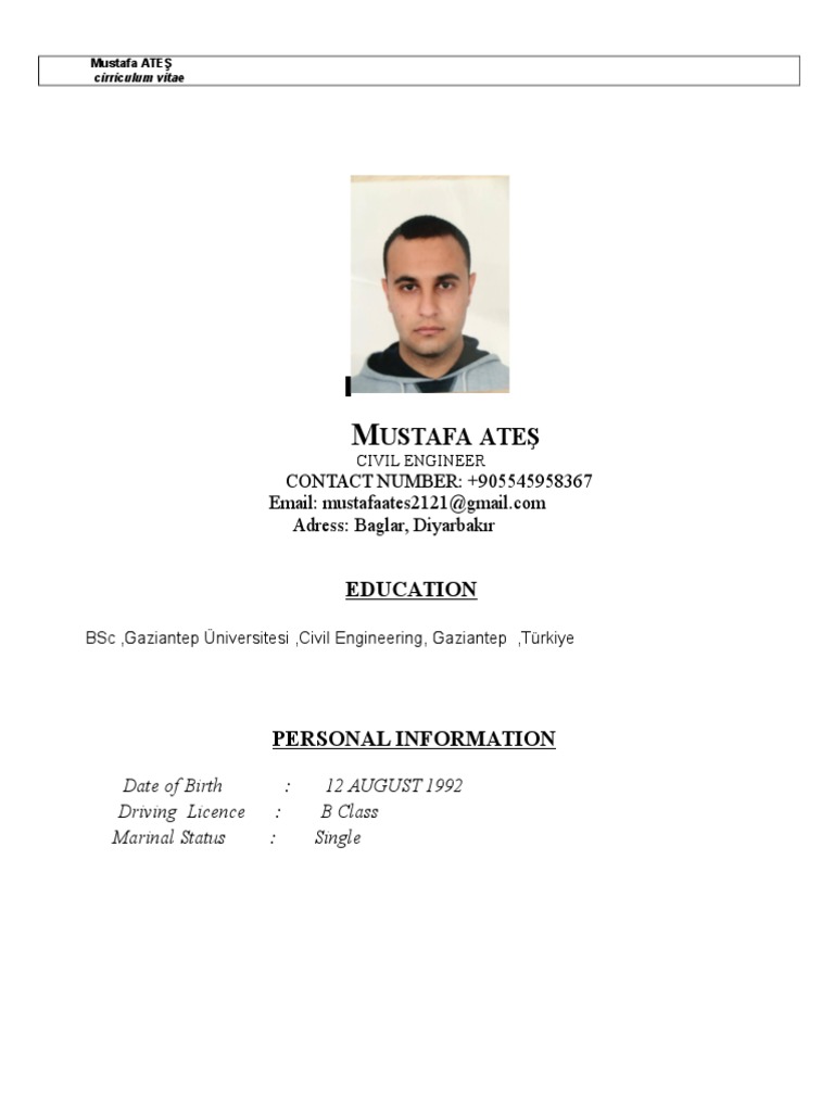 Mustafa ATES CV English | PDF