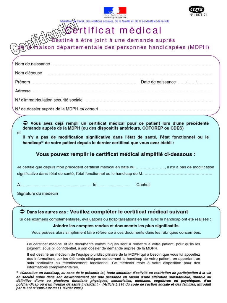 cerfa_13878-01 | Invalidité | Bien-être