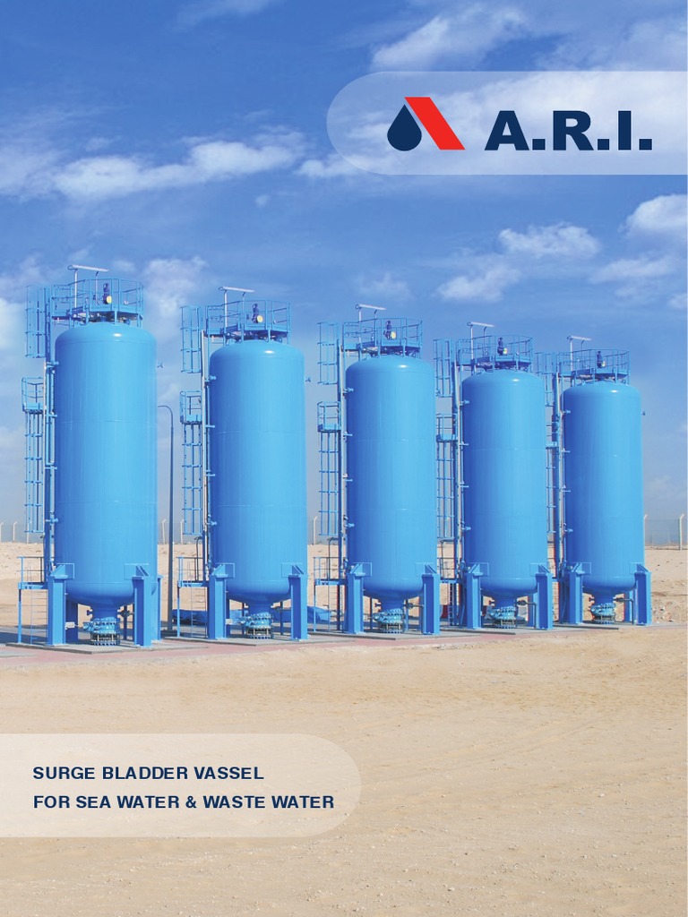 Surge Bladder Vassel | PDF | Valve | Pump