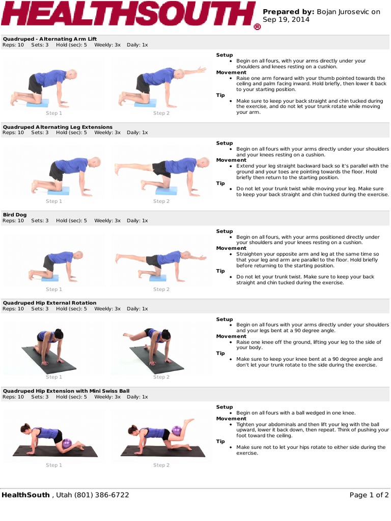 Core and Back Strengthening Exercises for Quadruped, Prone, and Bird ...