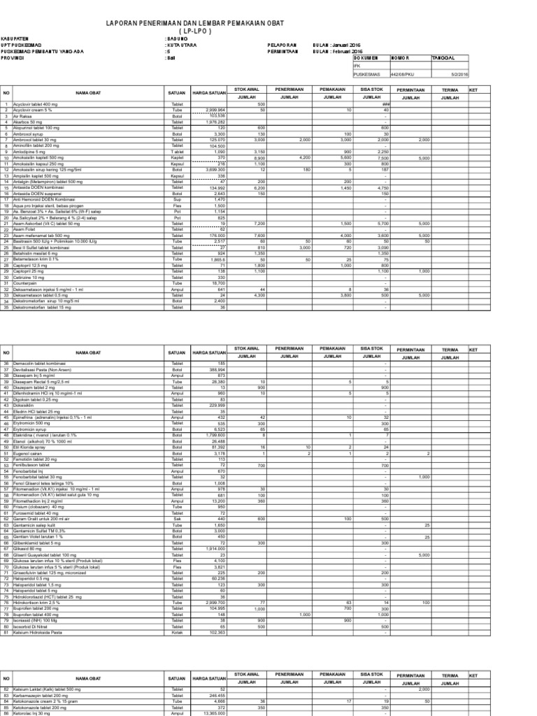 Format Lplpo Baru Untuk Puskesmas | PDF