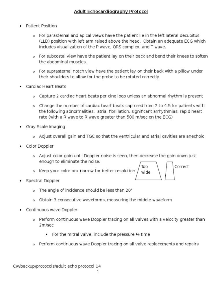 Adult Echocardiography Protocol 14 2 | PDF | Heart Valve | Ventricle ...