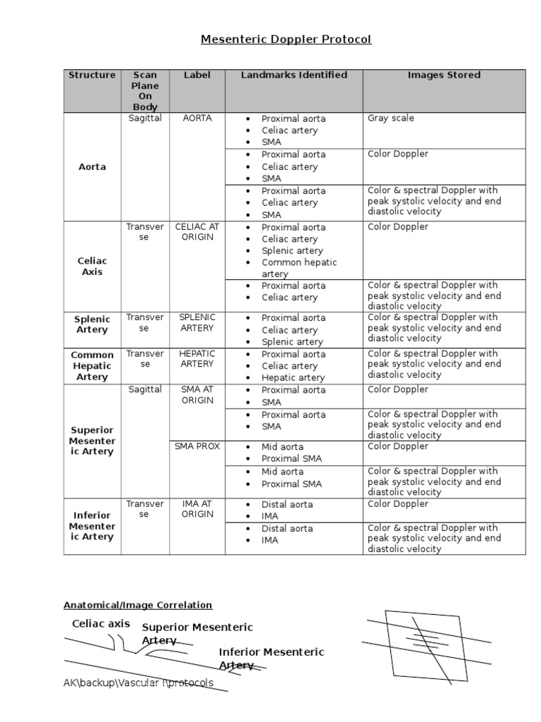 mesenteric doppler protocol 14 | Aorta | Medical Ultrasound