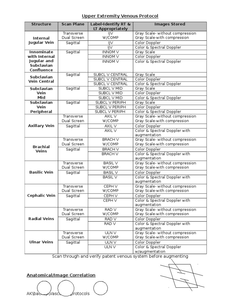 Upper Extremity Venous Ultrasound Guide | PDF | Vein | Anatomical Terms ...