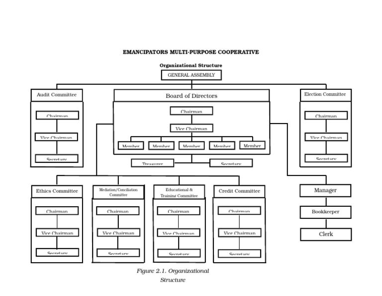 Emancipators Cooperative Structure | PDF | Business