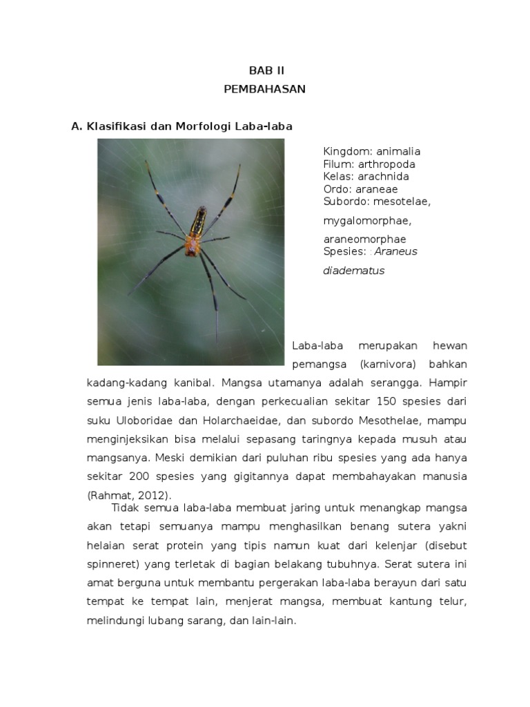 Klasifikasi dan Morfologi Laba-laba | PDF
