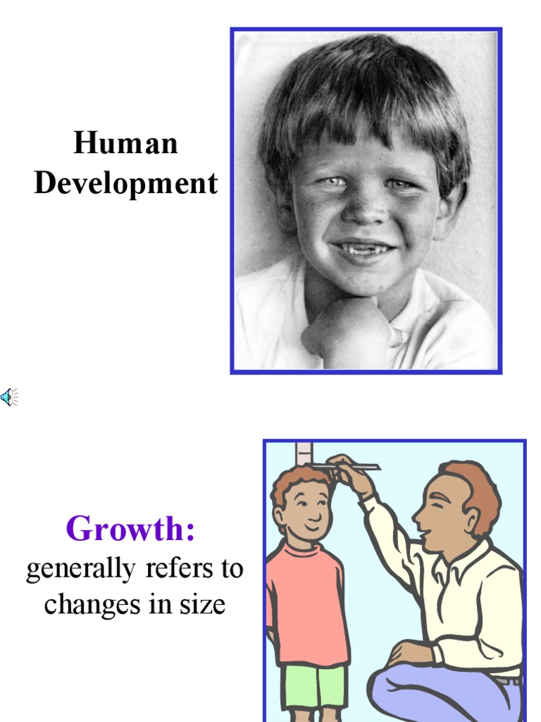Developmental Stages | PDF | Infants | Developmental Psychology