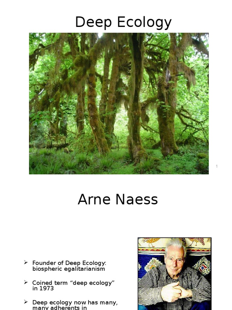 Deep Ecology | PDF