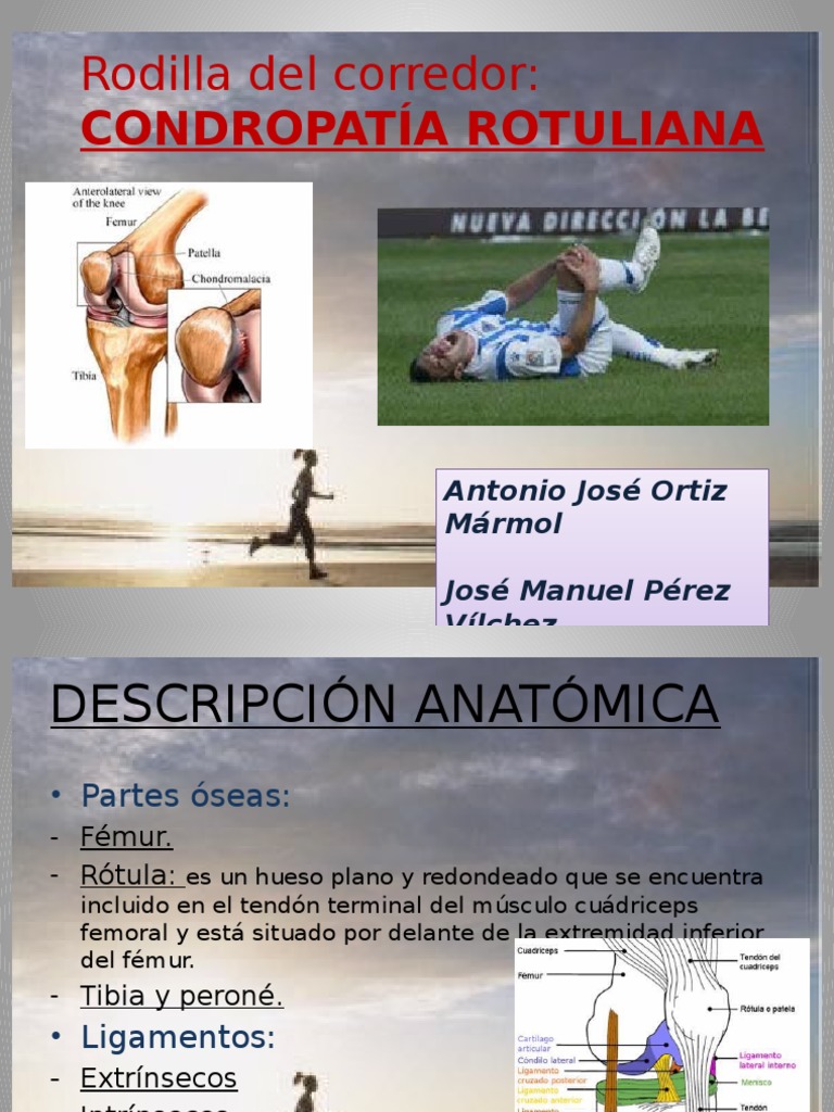 Condropatía Rotuliana Rodilla Del Corredor | PDF | Rodilla | Articulaciones