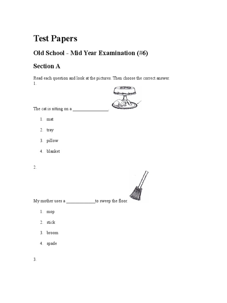 Test Papers: Old School - Mid Year Examination (#6) Section A | PDF ...