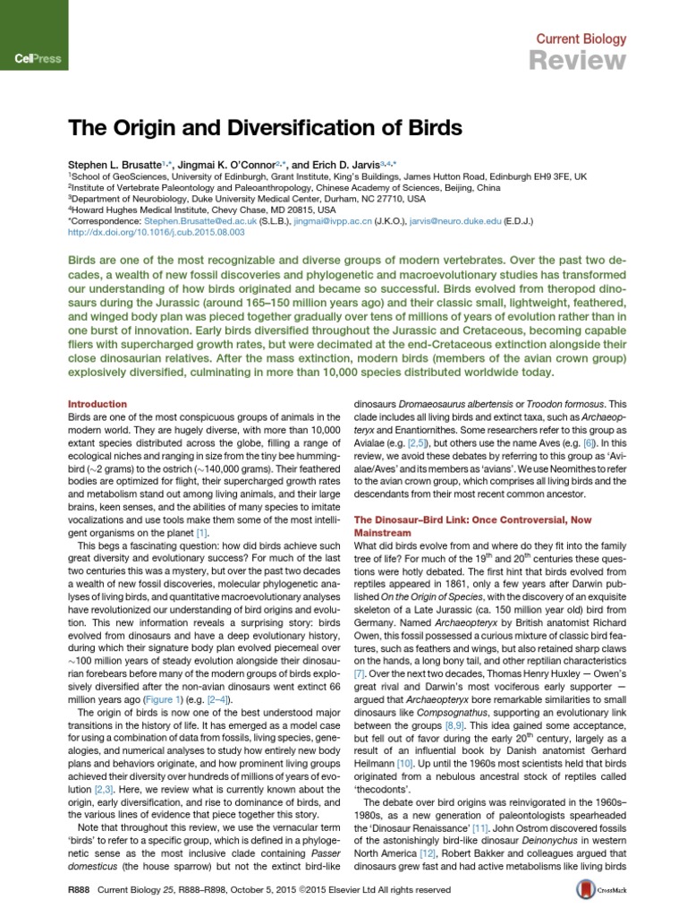 Origin and Evolution of Birds | PDF | Dinosaurs | Birds