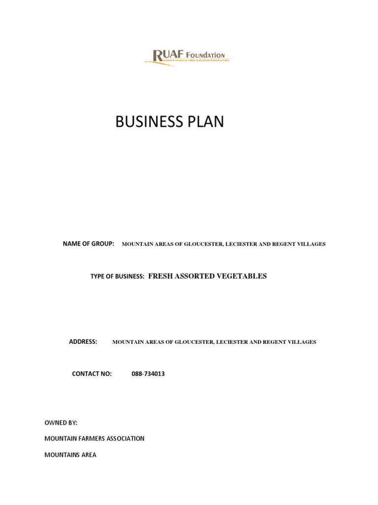 Business Plan Vegetables Boxes Freetown Sierra Leone | PDF | Chairman ...