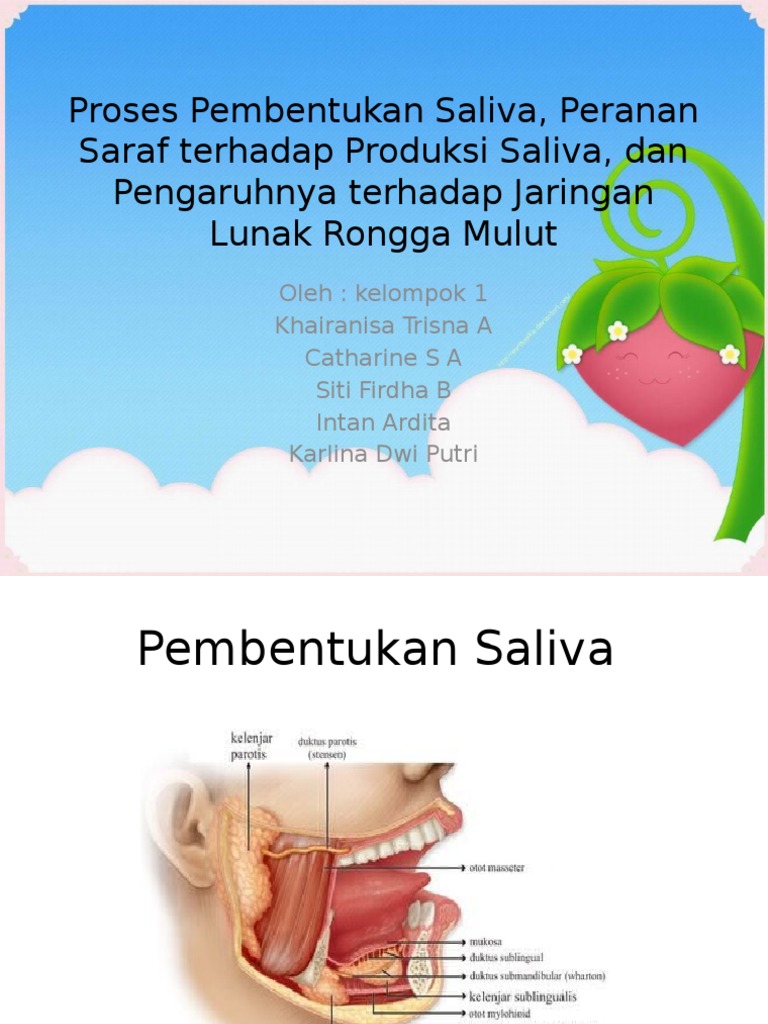 Proses dan Pengaruh Saliva pada Mulut | PDF
