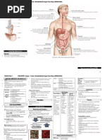 Halsted Principles | PDF