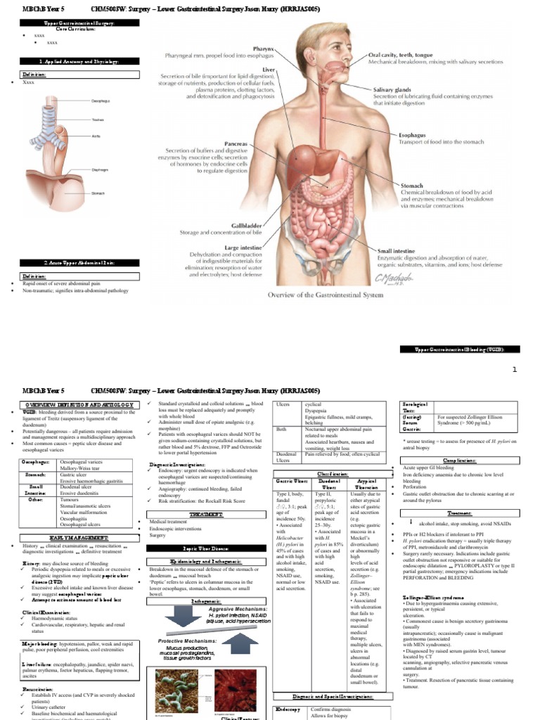 5th Year General Surgery Notes - Lower GIT Surgery | PDF | Peptic Ulcer ...