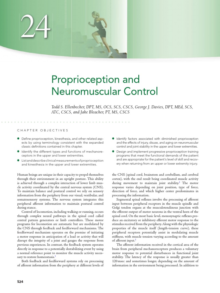 24 - Proprioception and Neuromuscular Control | PDF | Muscle | Central ...