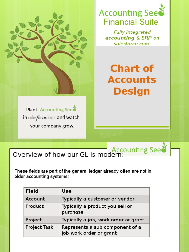 Chart of Accounts Design: Financial Suite | PDF