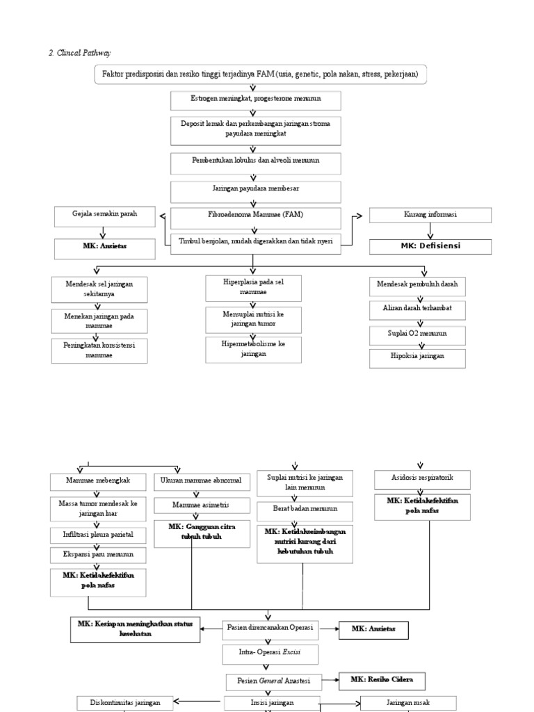 Pathway FAM New | PDF