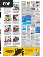 Volhard Puppy Aptitude Test | Obedience Training | Dogs