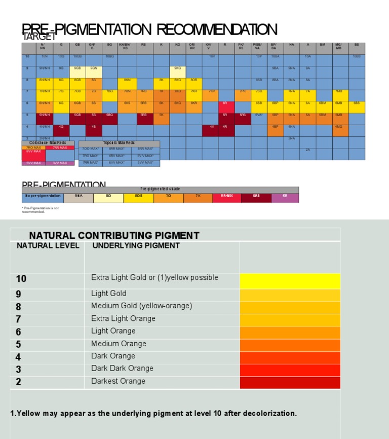 PRE Pigmentation Recommendation: Target Shade | PDF | Color