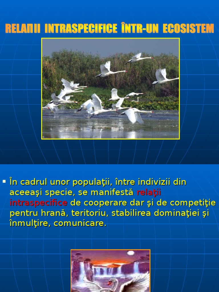 Relatii Intraspecifice La Plante Și Animale | PDF