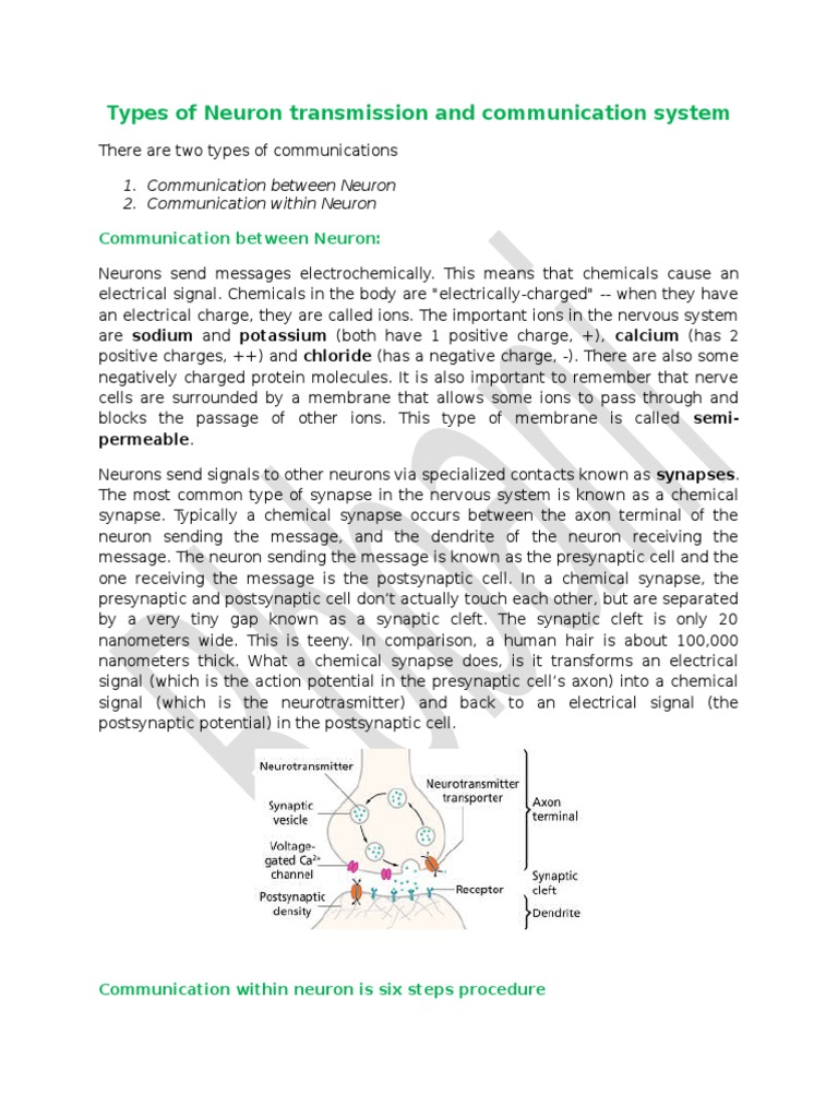 Types of Neuron Transmission and Communication System | PDF ...