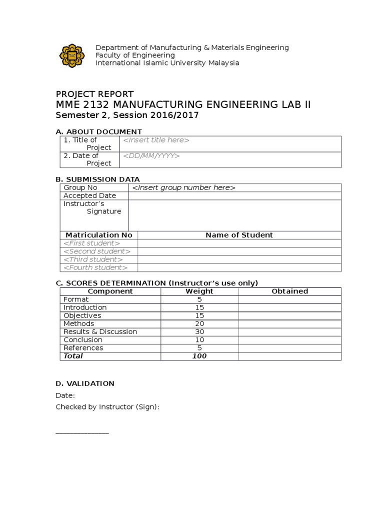 MME 2132 Lab Report Guidelines | PDF | Typefaces | Computing And ...