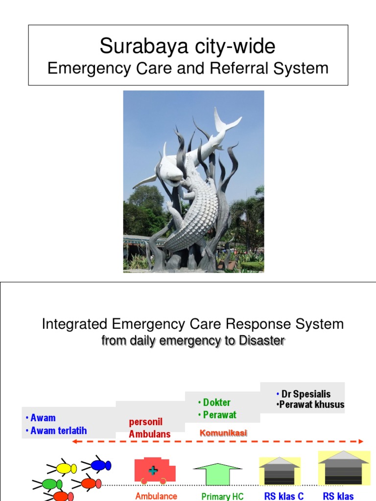 Prof Eddy - E - Surabaya City-Wide | PDF