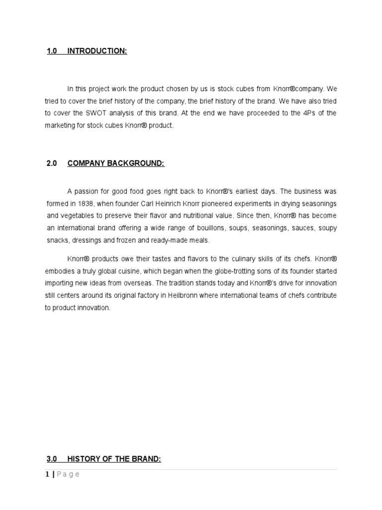 Group Assignment MKT420 | PDF | Market Segmentation | Brand