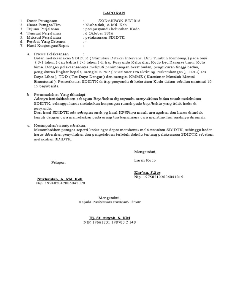 Laporan Hasil SDIDTK | PDF