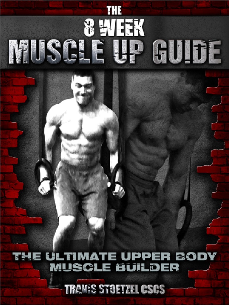 The Muscle Up Guide Main PDF | PDF | Shoulder | Physical Strength