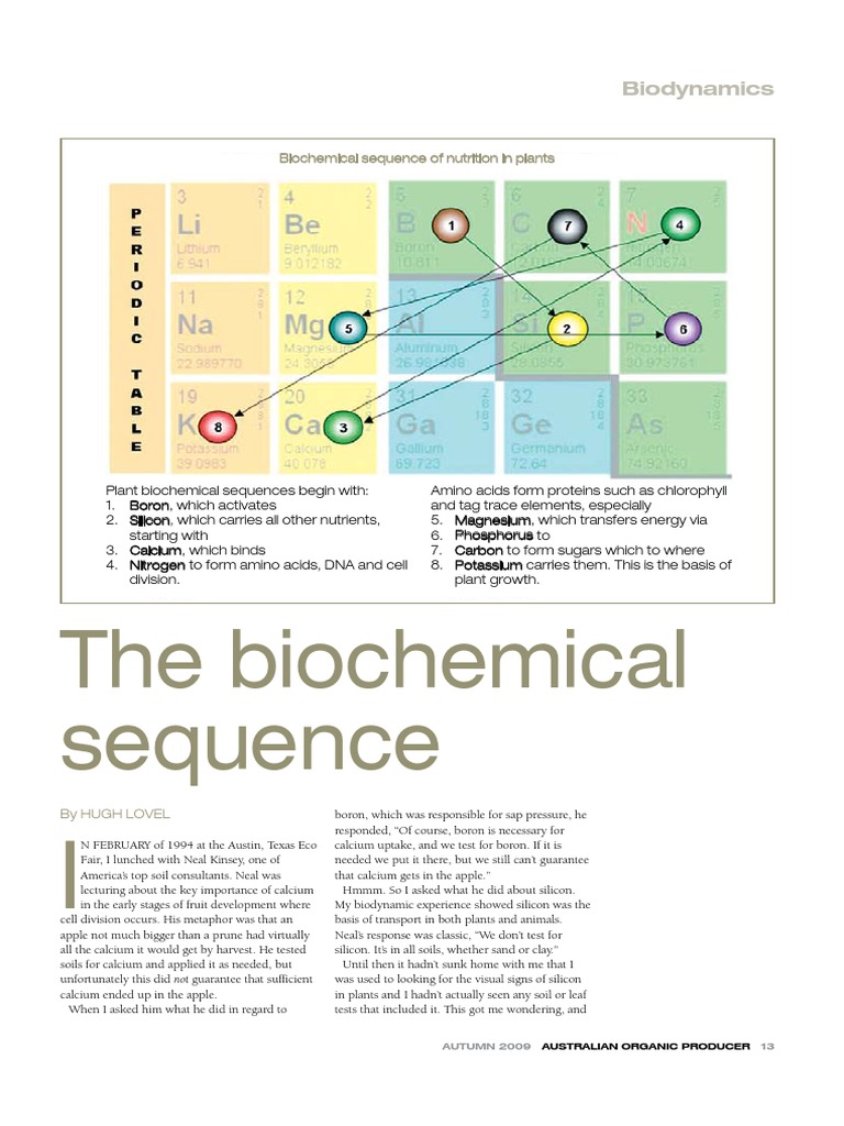Biochemical Sequence of Nutrition in Plants | Plant Nutrition ...