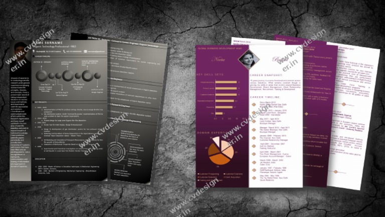 Visual Resume Sample | PDF