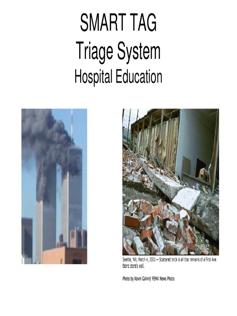 SMART Triage PDF | PDF | Wound | Burn