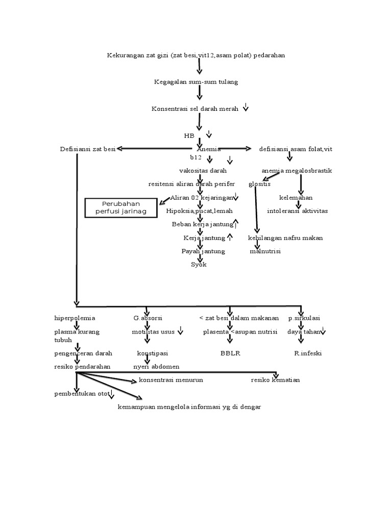 Pathway Anemia Ibu Hamil | PDF
