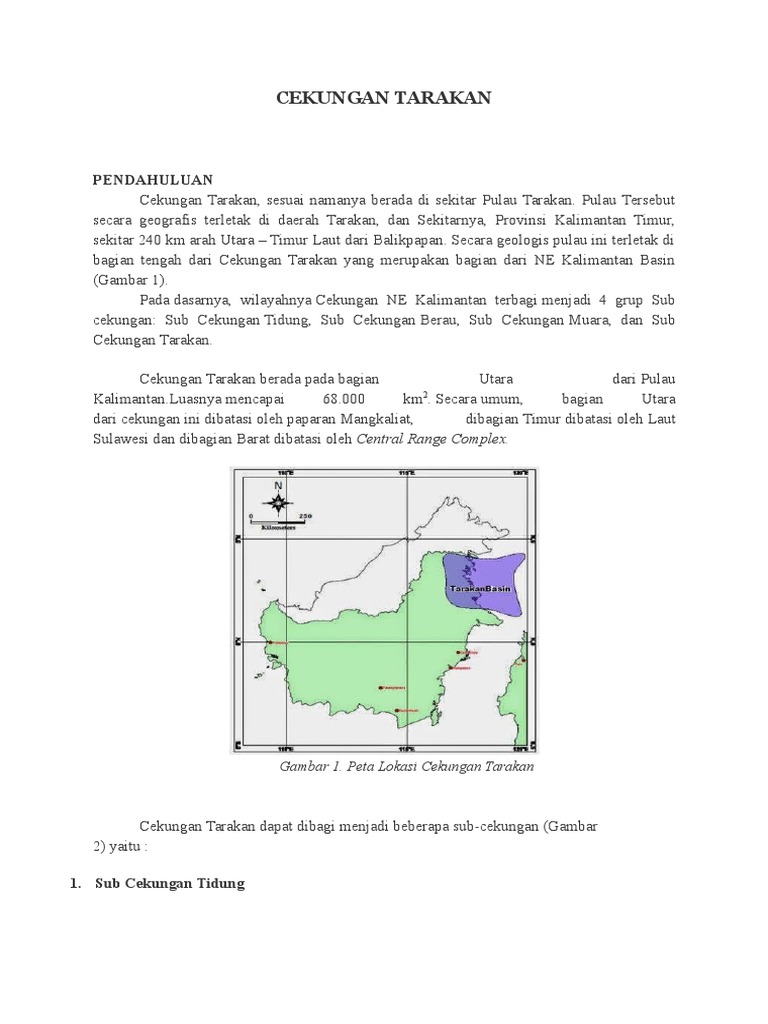 Cekungan Tarakan | PDF