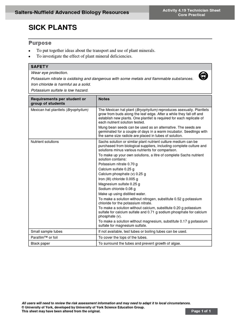 A Level Biology A (Salters-Nuffield) Core Practical Activity 4 19 ...
