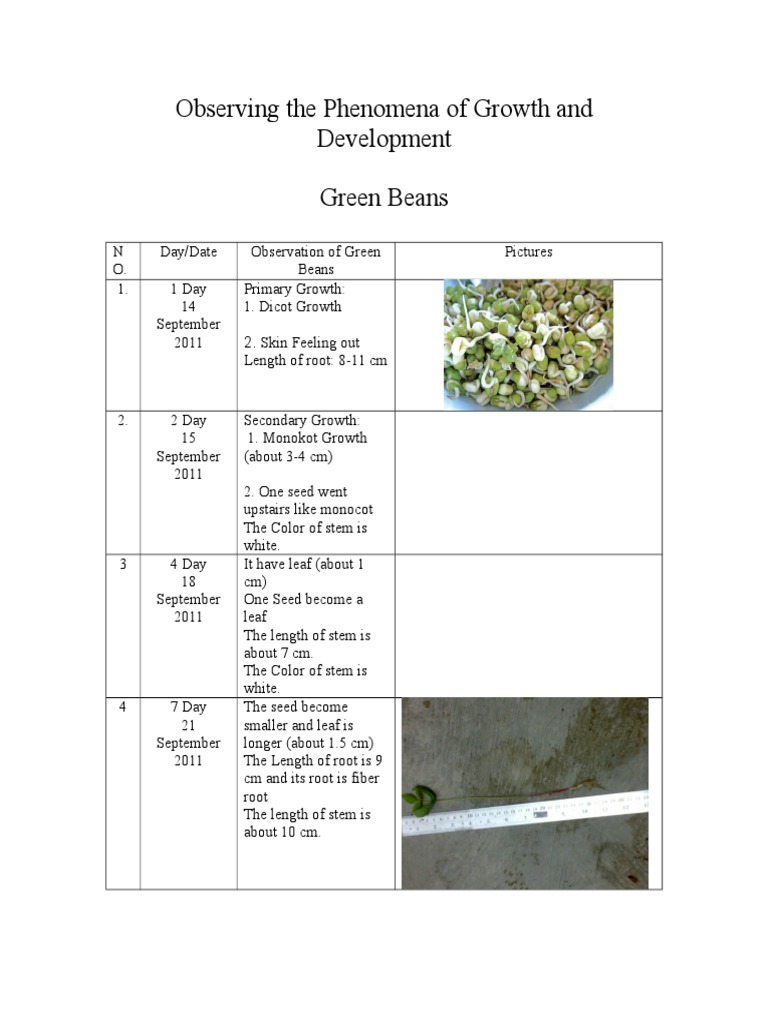 Growth and Development | PDF