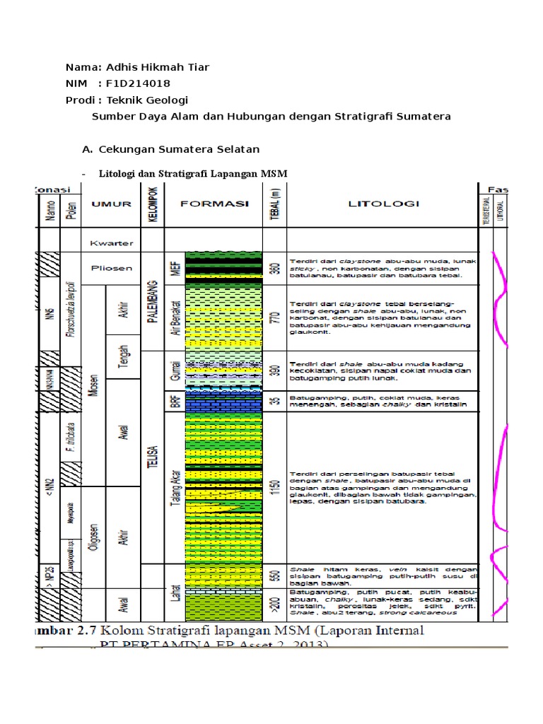 Cekungan Sumatra Selatan | PDF