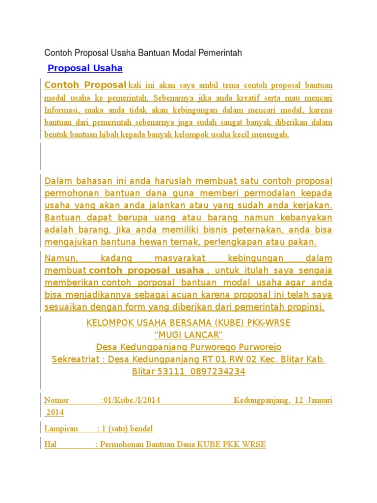 Contoh Proposal Usaha Bantuan Modal Pemerintah | PDF